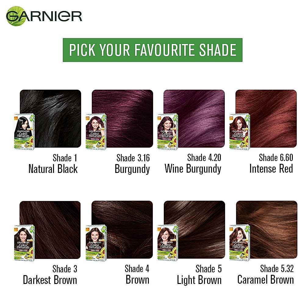 Garnier Hair Color Dark Brown